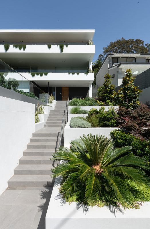 The Grove | Contour Landscape Architecture