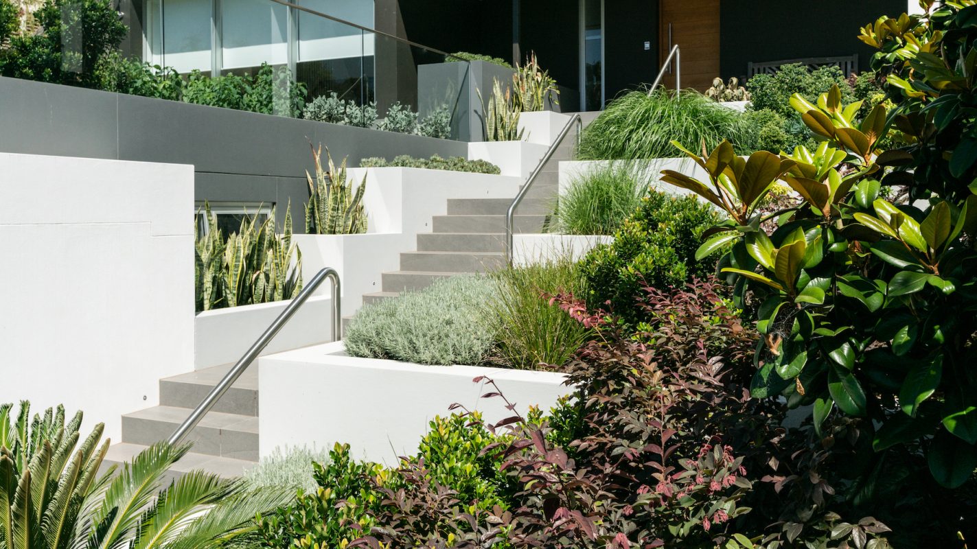 The Grove | Contour Landscape Architecture