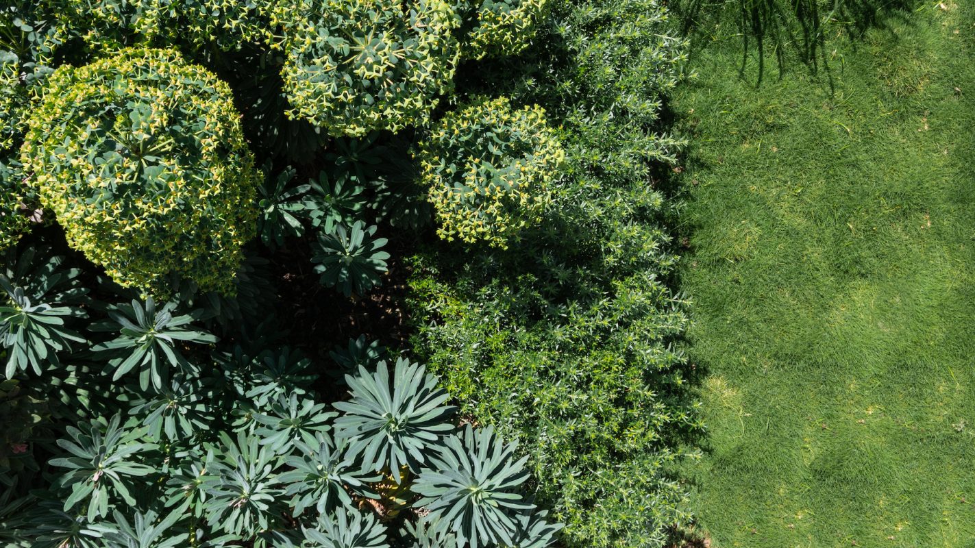 The Grove | Contour Landscape Architecture