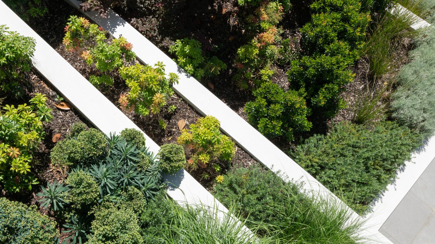 The Grove | Contour Landscape Architecture