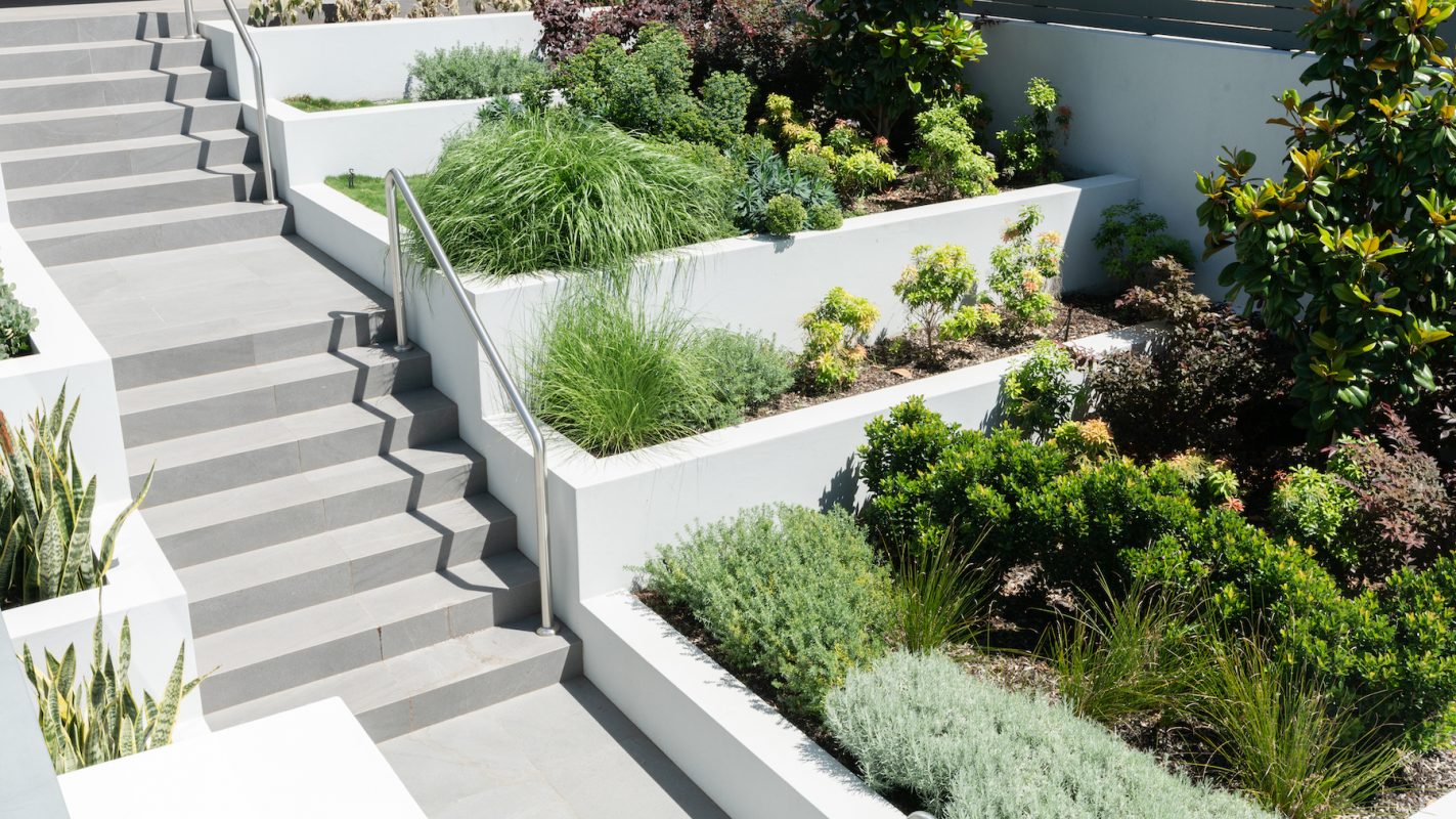 The Grove | Contour Landscape Architecture