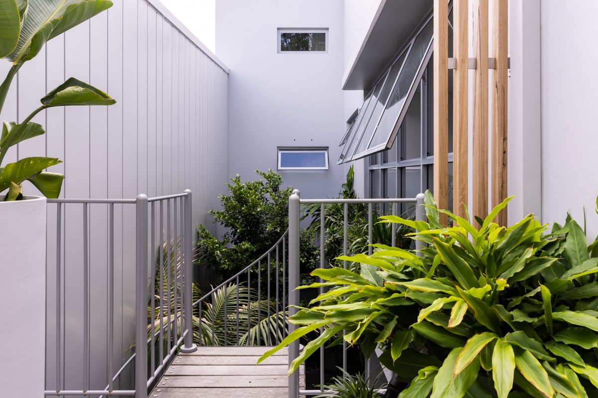 Surry Hills | Contour Landscape Architecture