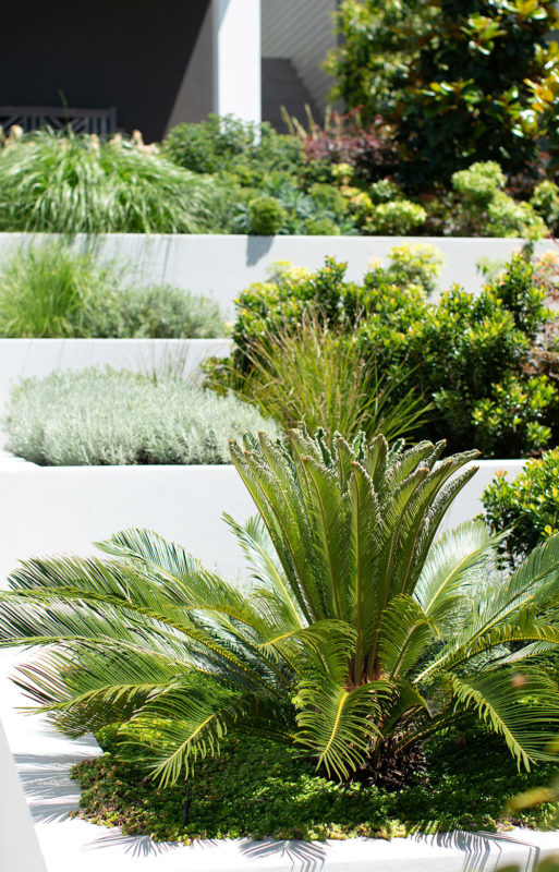 The Grove | Contour Landscape Architecture