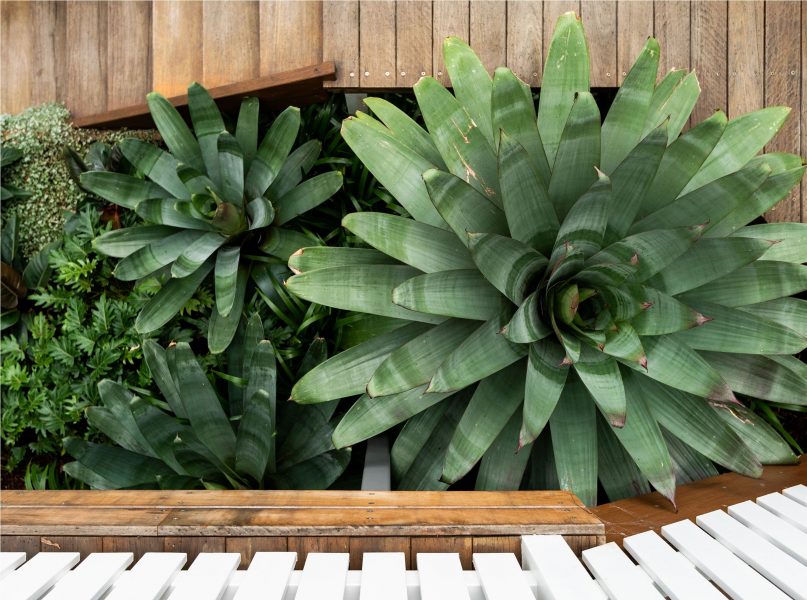 Contour Landscape Architecture | Contour Landscape Architecture